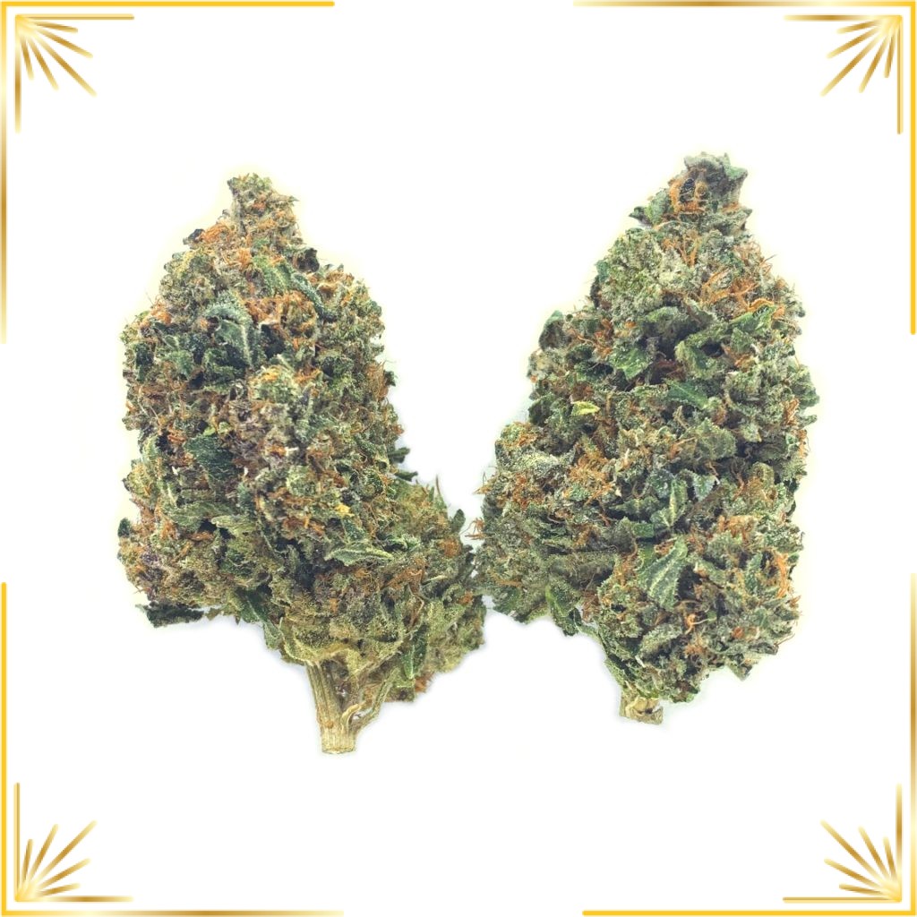 Compassion in Motion - Greater Vancouver's Premium Cannabis Delivery