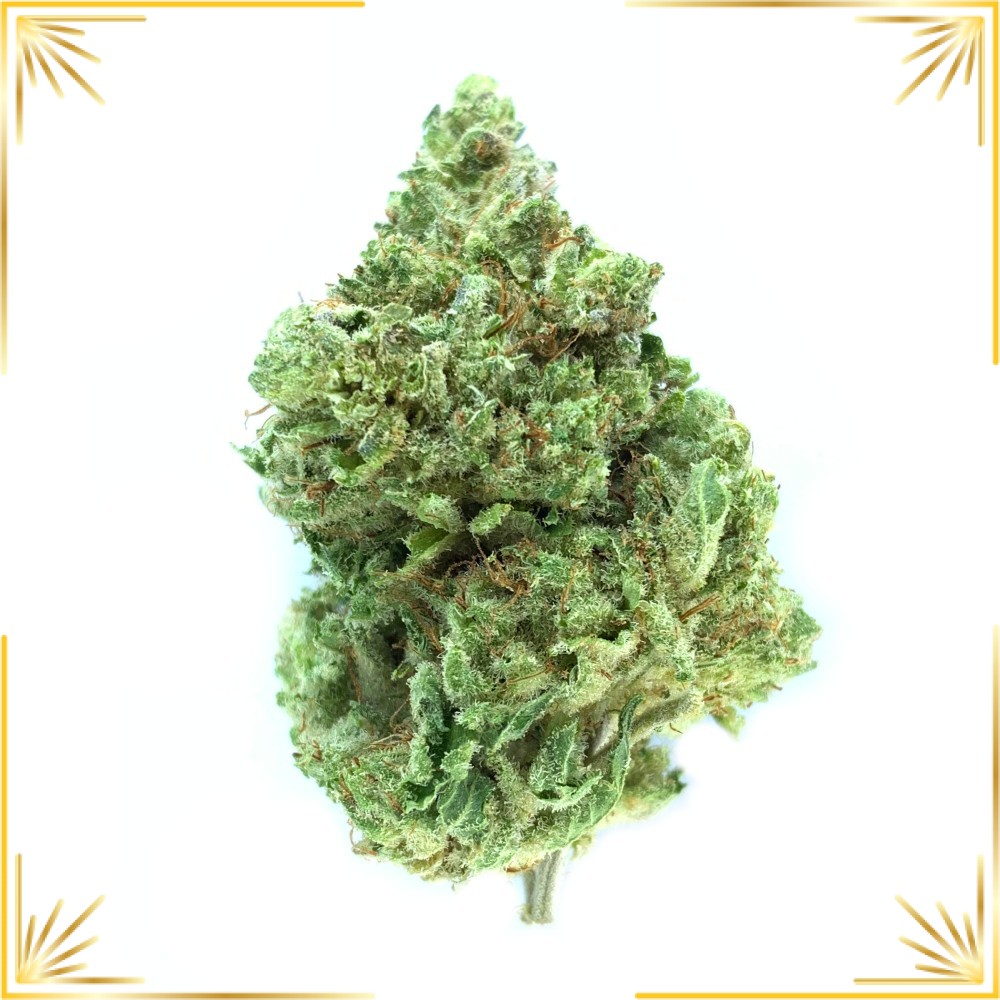 CIM Indica Strains Archives - Compassion in Motion