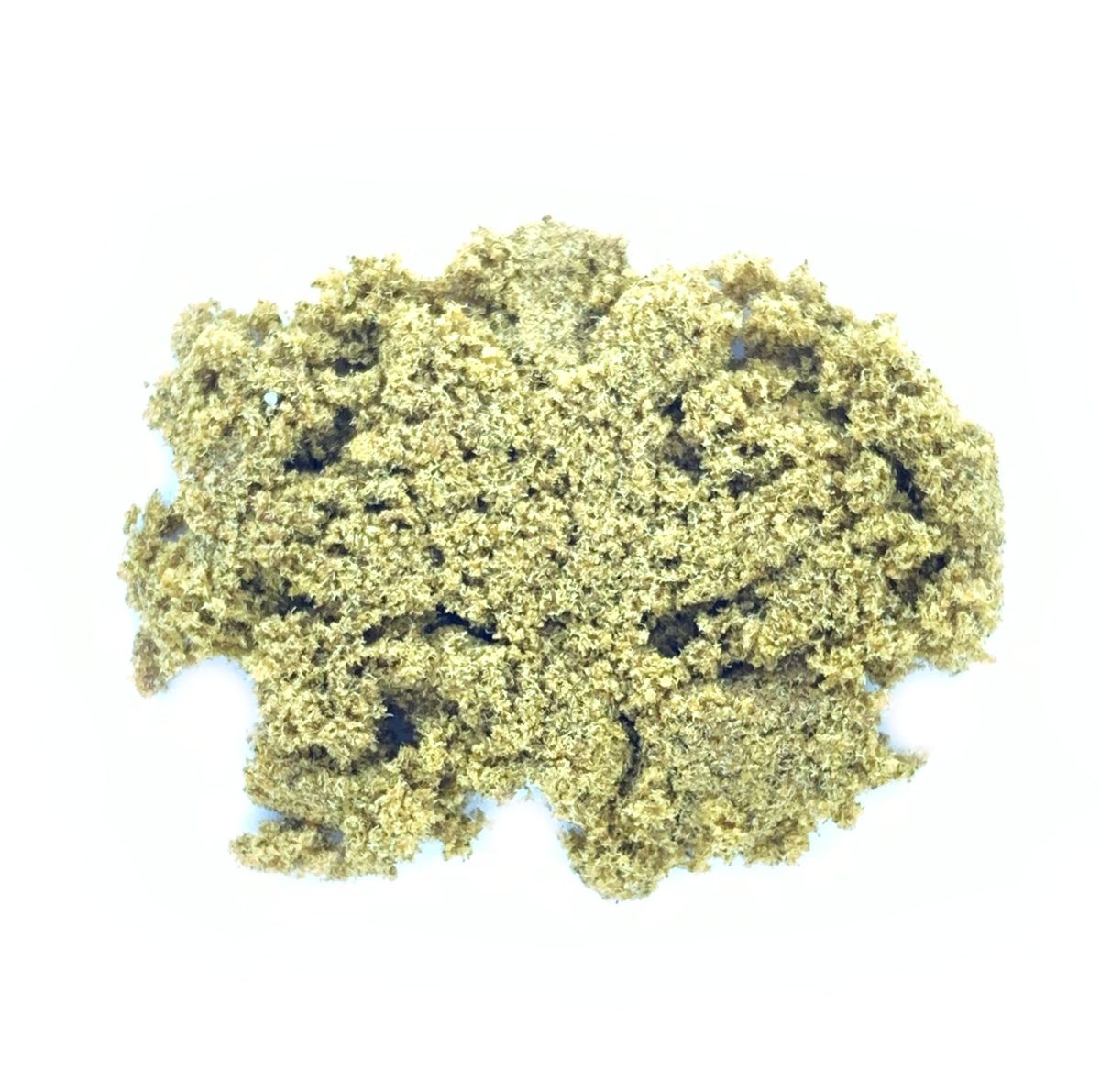 Flower Archives - Compassion in Motion